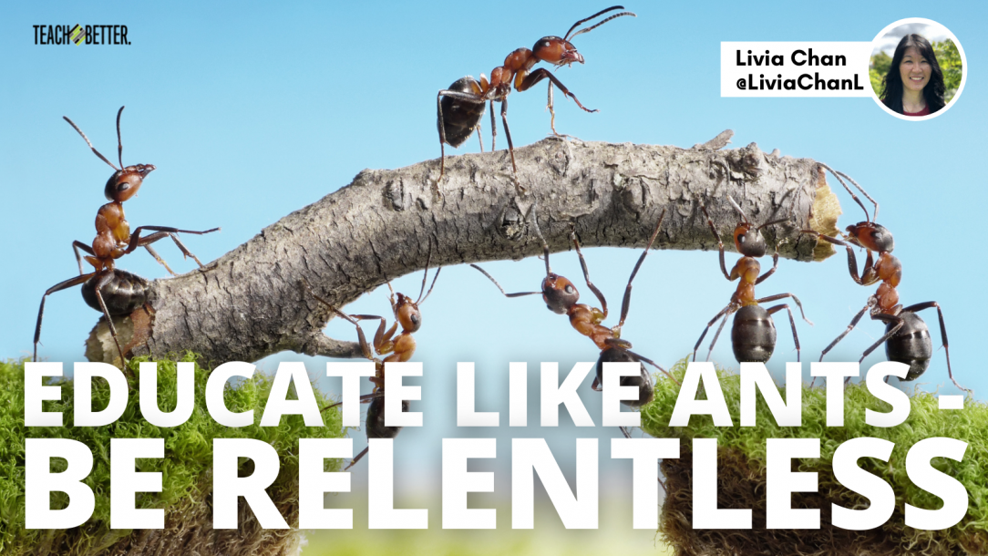 Educate Like Ants – Be Relentless | Livia Chan